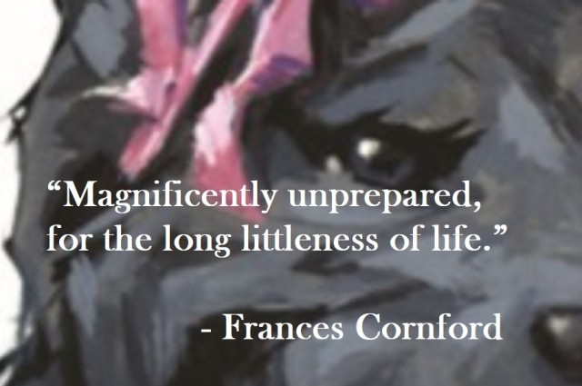 Frances Cornford - Tuggie the Patriot Pup